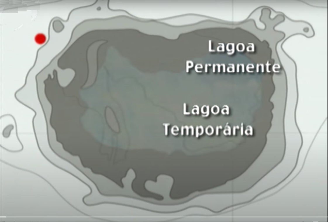 Conheça o Atol das Rocas, uma formação de recifes isoladas de ...